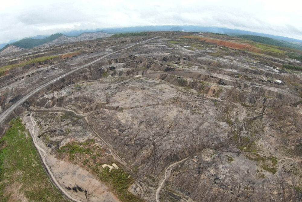 Consortium to conduct pilot project, testing if pongamia as a potential ...